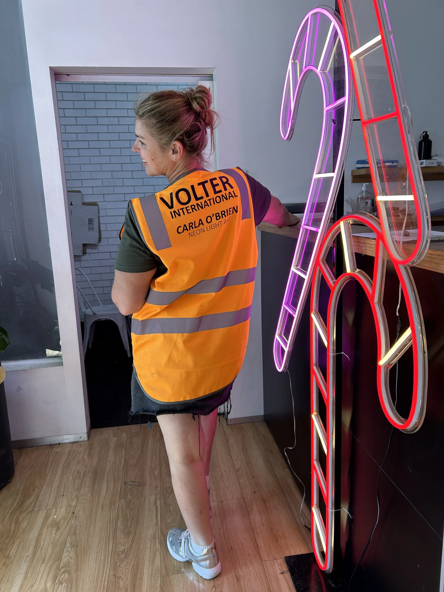 Neon Rental Collections New — Volter International