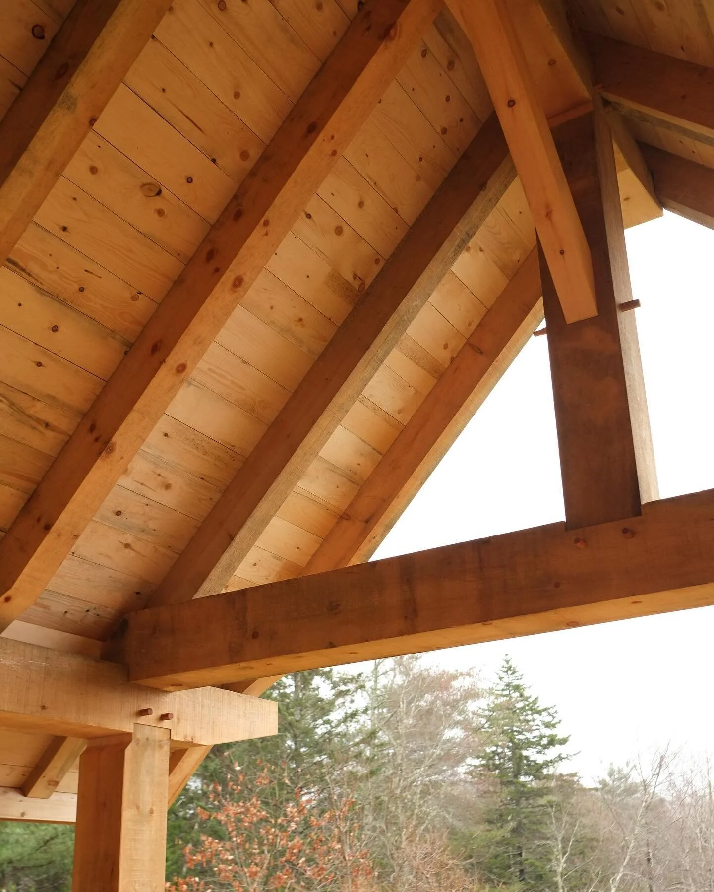 Elderwood Timber Frames