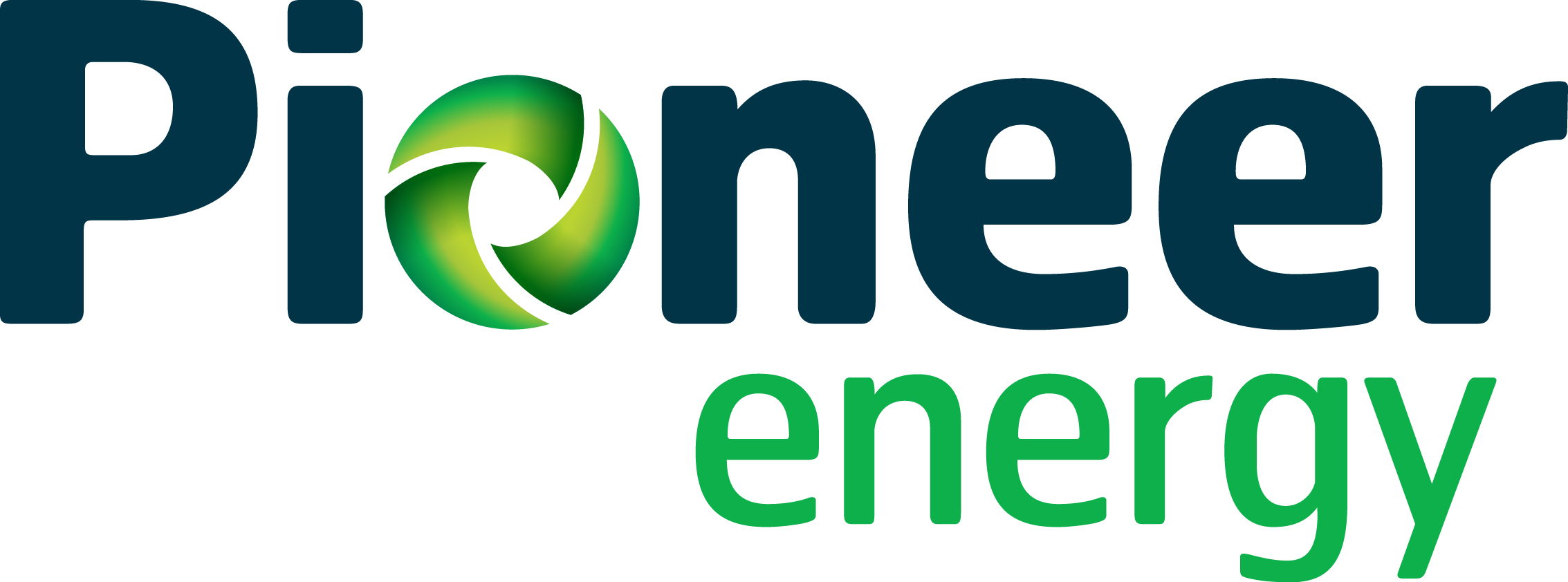 Project Team — Kaihiku Wind Farm
