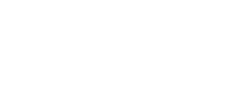 Data Hive Consulting