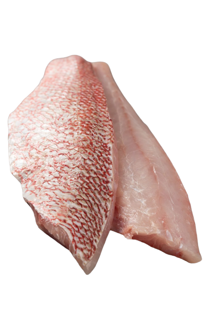 JALA FISH - Premium Seafood