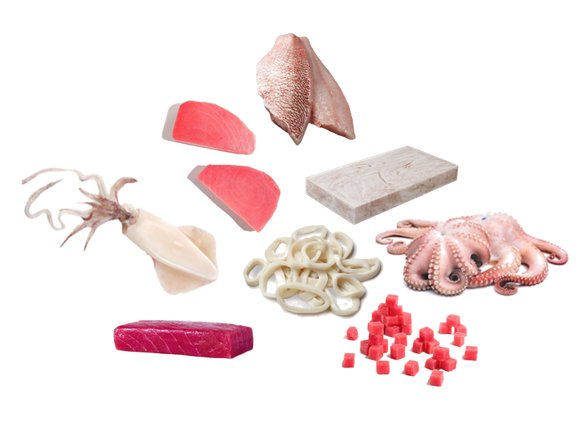 JALA FISH - Premium Seafood