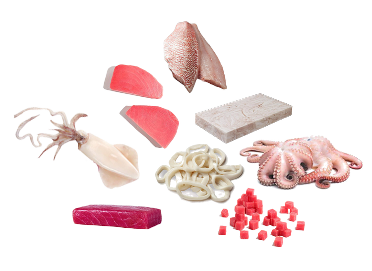 JALA FISH - Premium Seafood