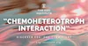 What is Chemoheterotroph Interaction — The ESG Institute