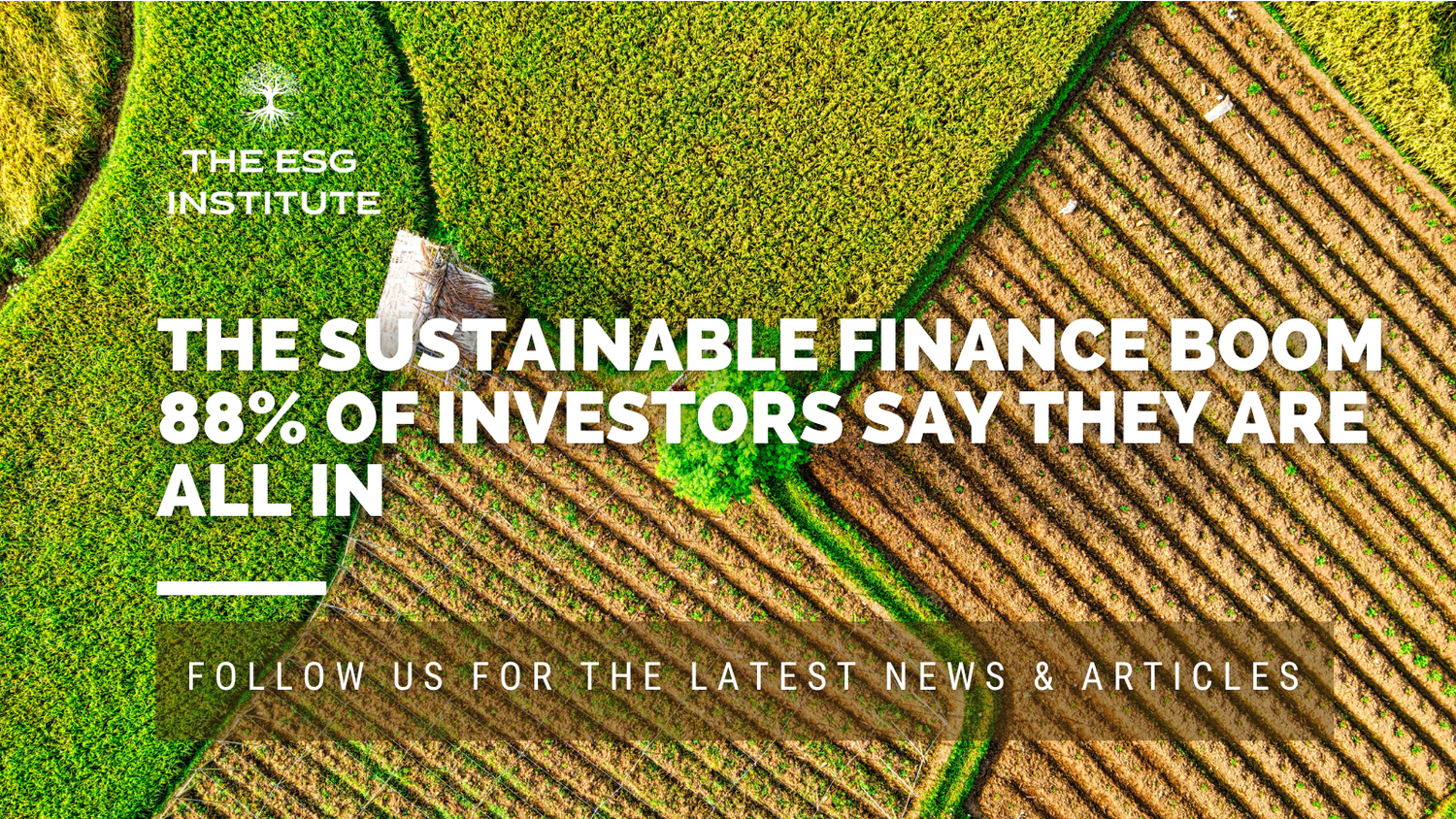 Blog — The ESG Institute