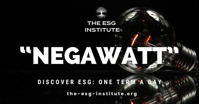 What is Negawatt — The ESG Institute
