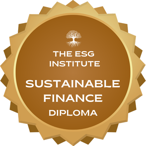 The ESG Institute