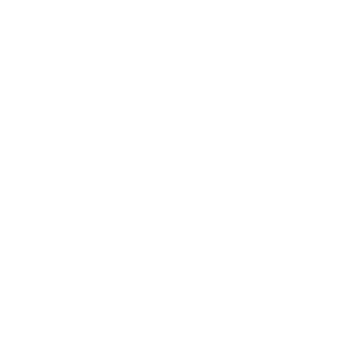 The Esg Institute