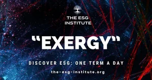 What is Exergy — The ESG Institute