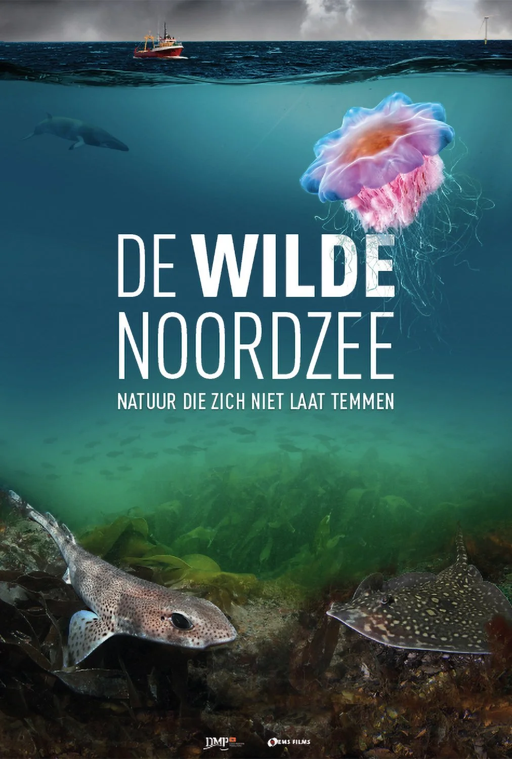 North Sea: Nature Untamed ("De Wilde Noordzee") — Joris van Alphen