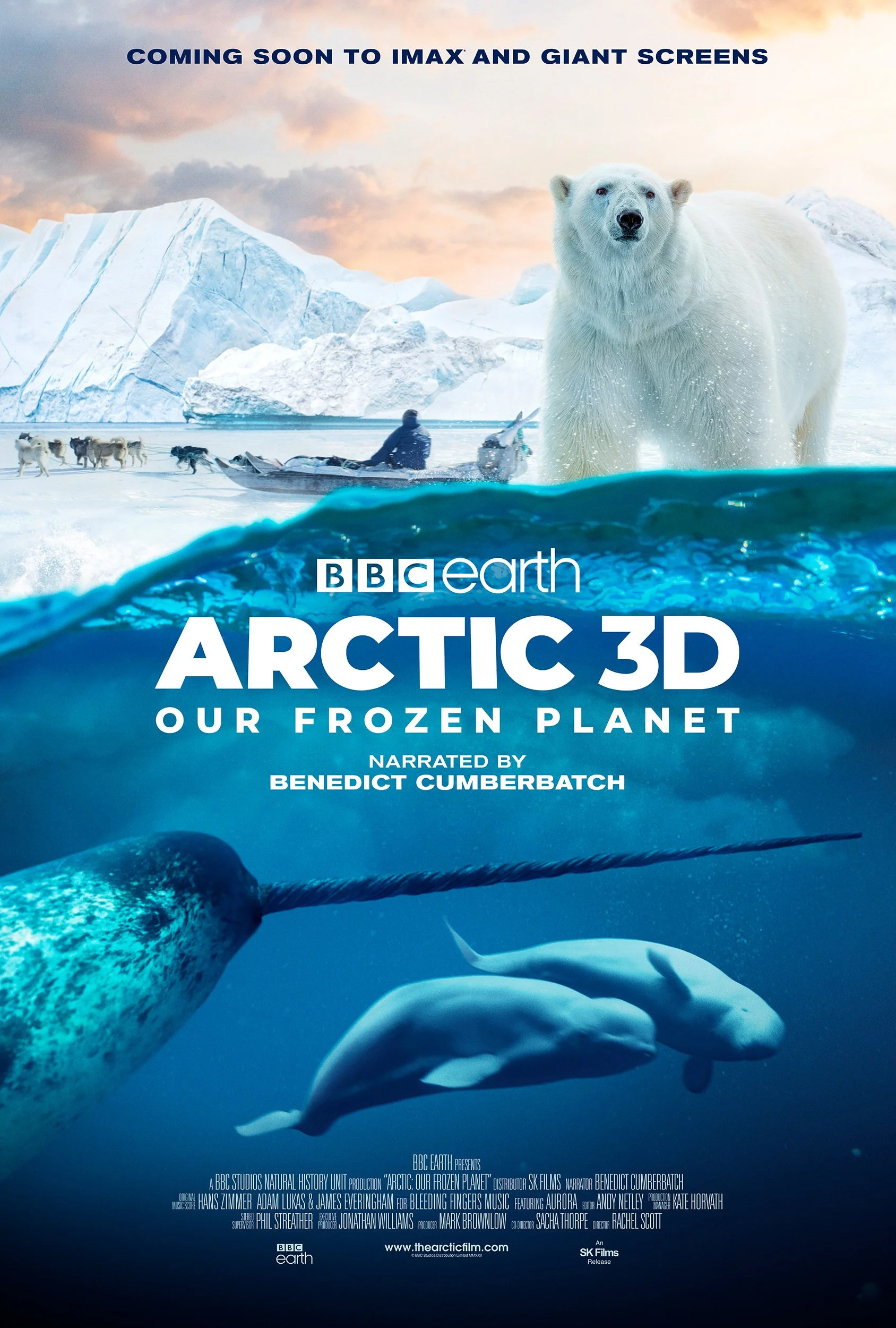 Arctic: Our Frozen Planet — Joris van Alphen