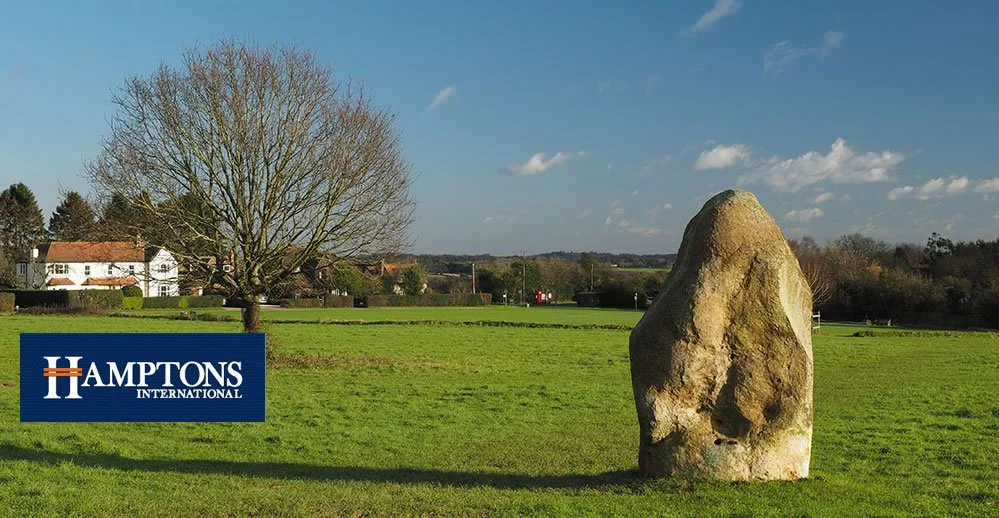 IBSTONE HORTICULTURAL SHOW & FETE