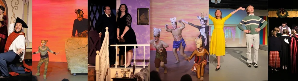 Learn — Artistic Civic Theatre