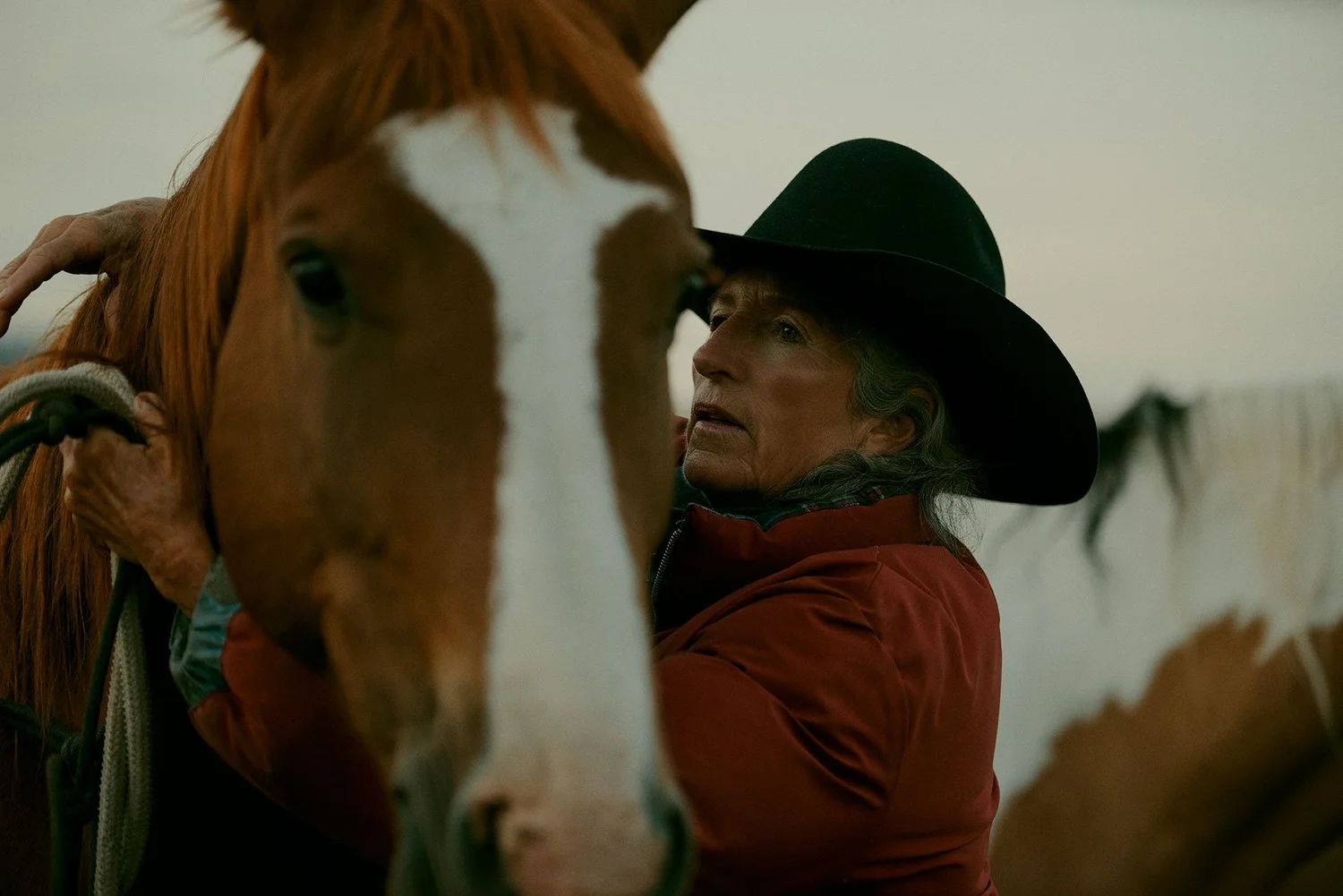 Brian Higbee Photography