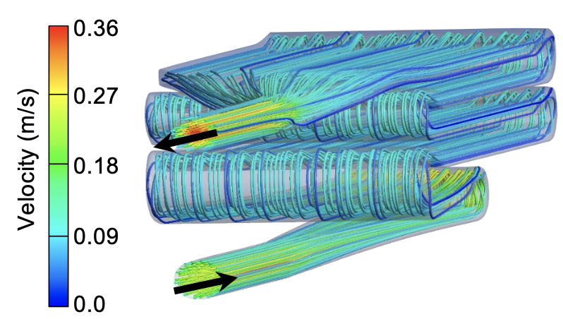 Research — Blauvelt Research Group at Nemours Children's Hospital
