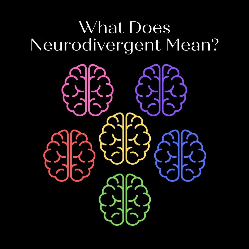 Understanding Neurodiversity: What Does "Neurodivergent" Mean? — The ...