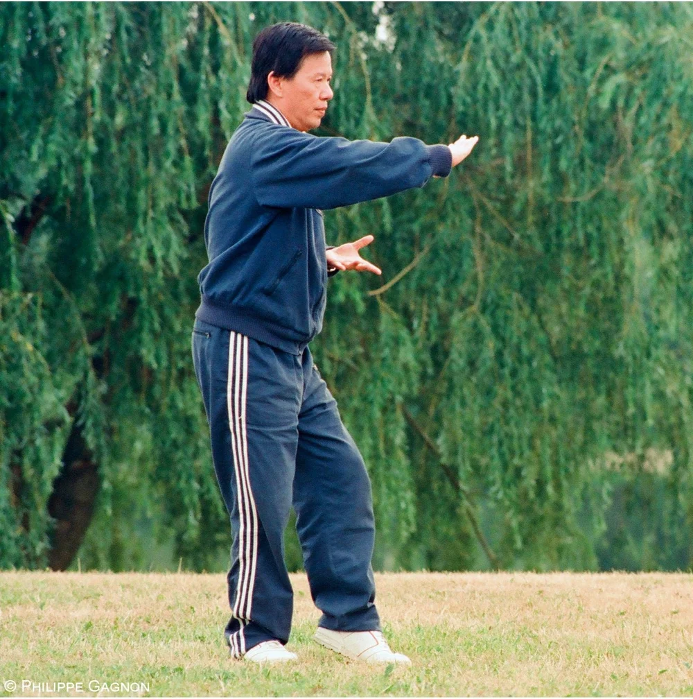 Qing Long Tai Chi Arts Society | Tai Chi Classes | Vancouver, BC