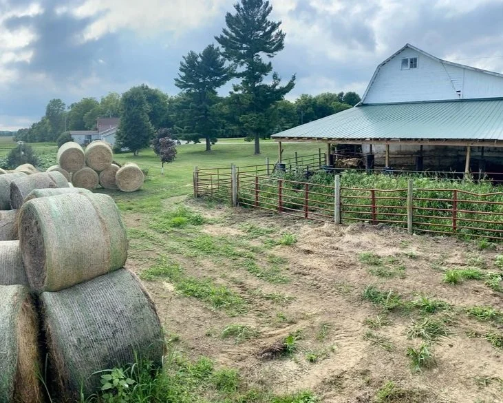 Payne Farms Cattle Co. | All Natural Beef | Farm Fresh Pork | Milford ...