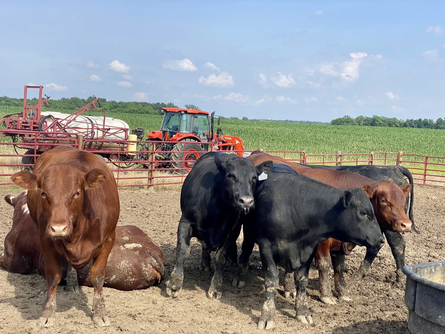 Payne Farms Cattle Co. | All Natural Beef | Farm Fresh Pork | Milford ...