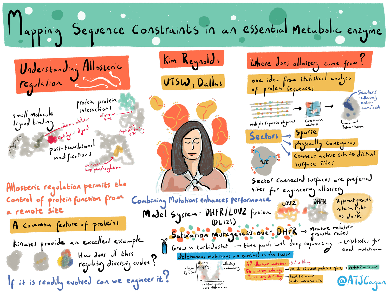 Mutational Scanning Symposium 2021 — ALEX CAGAN