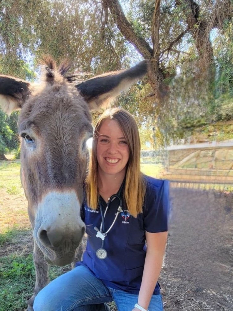 Darling Veterinary Clinic