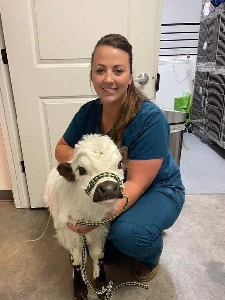 Darling Veterinary Clinic