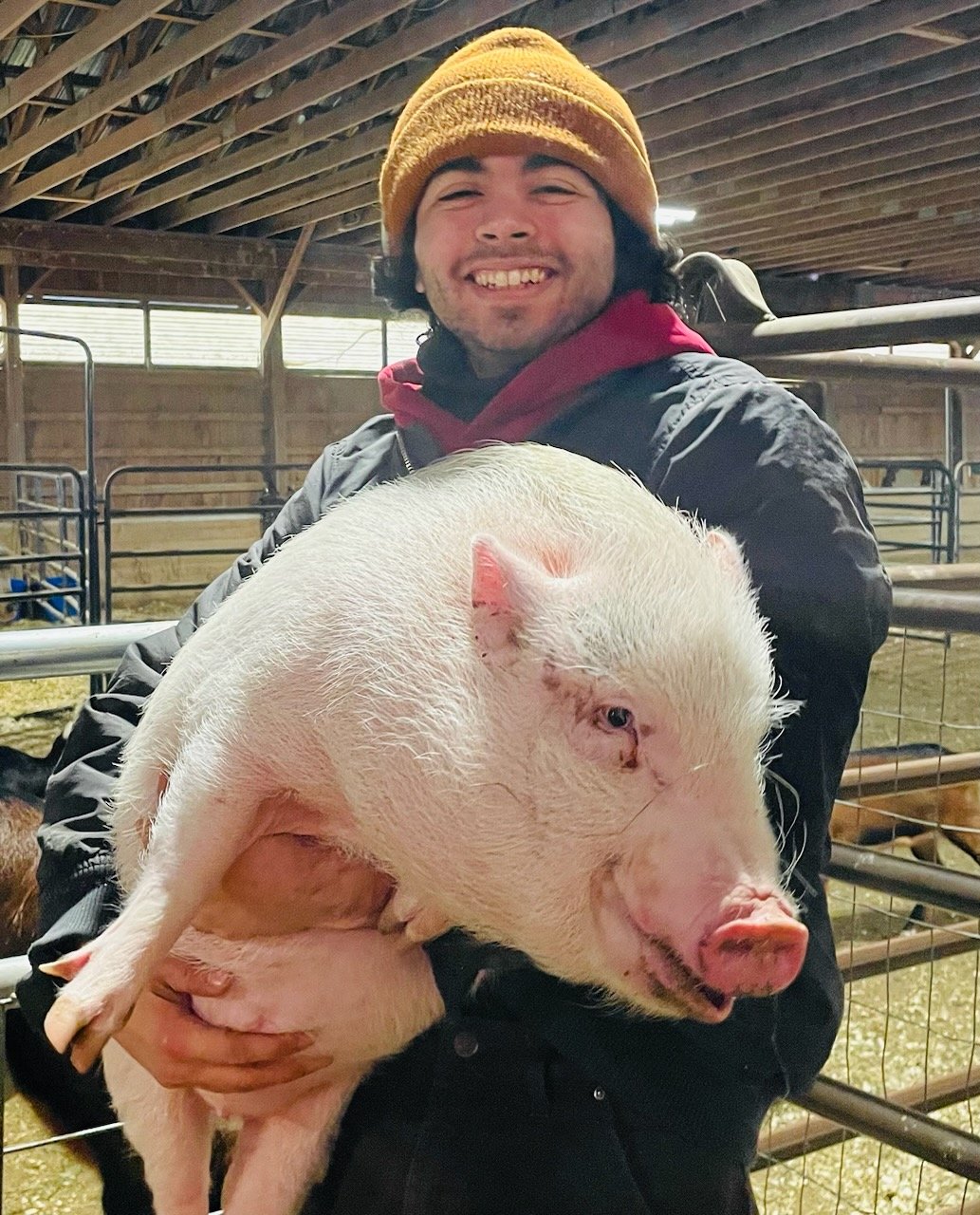 About Us — Merrymac Farm Sanctuary