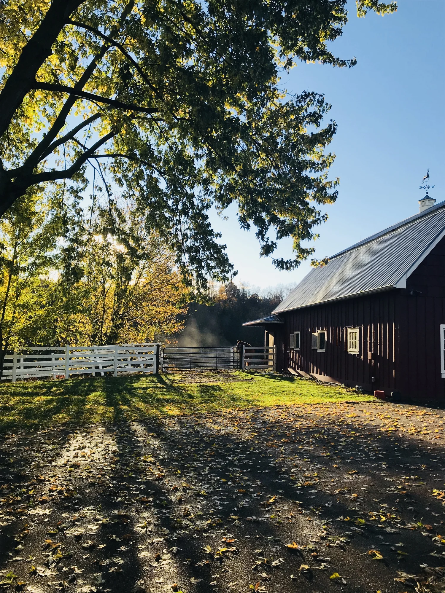 Merrymac Farm Sanctuary