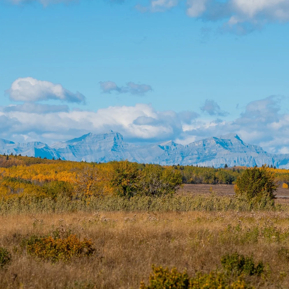 Heartland Cochrane | Explore Vibrant Living