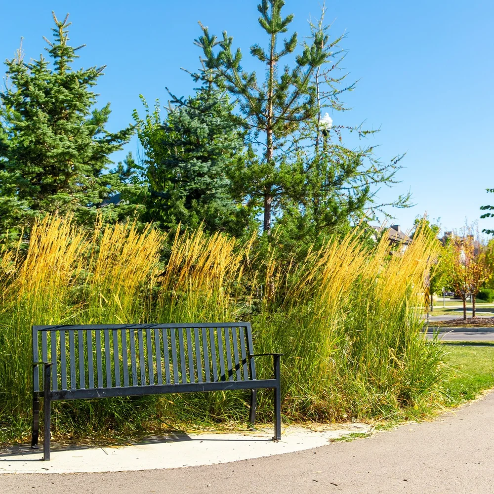 Heartland Cochrane | Explore Vibrant Living