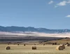 Heartland Cochrane | Explore Vibrant Living