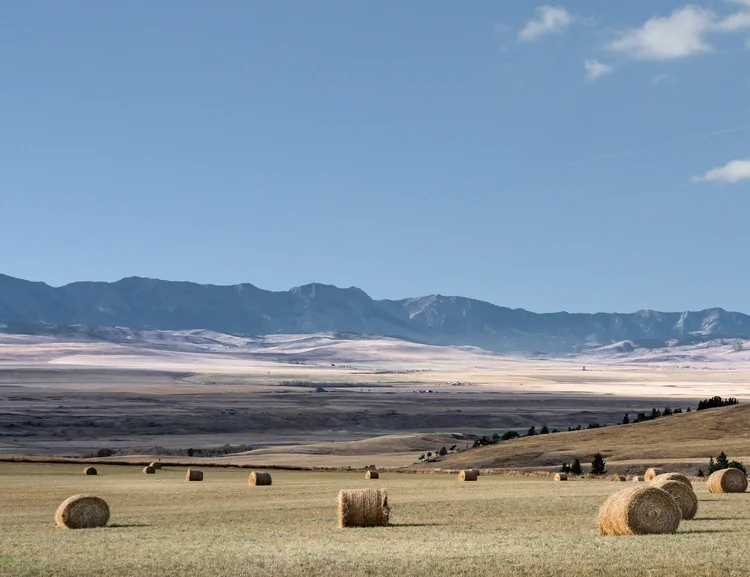 Heartland Cochrane | Explore Vibrant Living