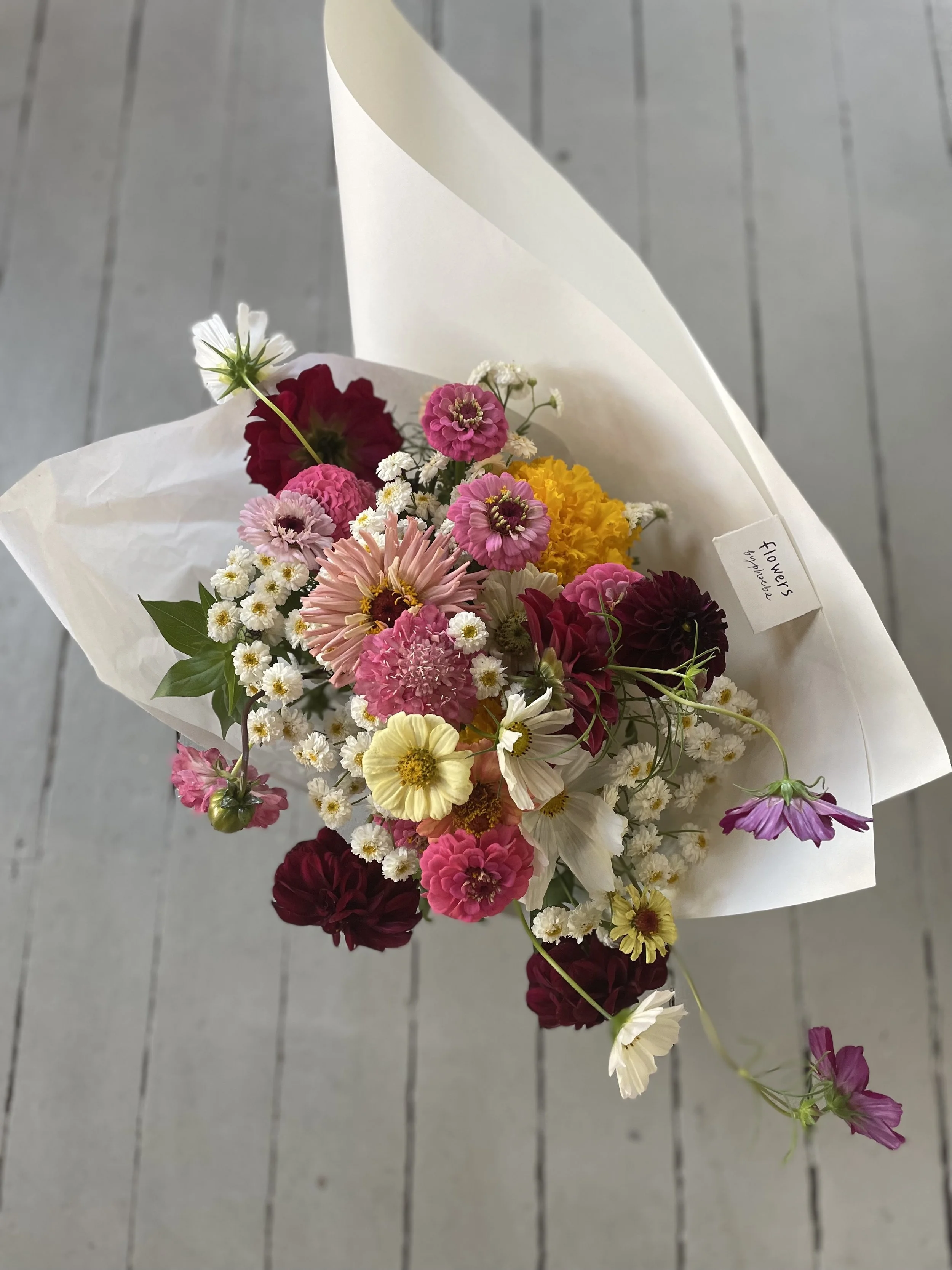 Flowers — By Phoebe