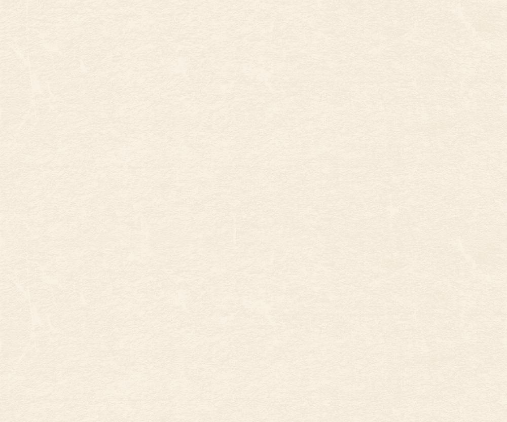 About — Dear Shandy Podcast