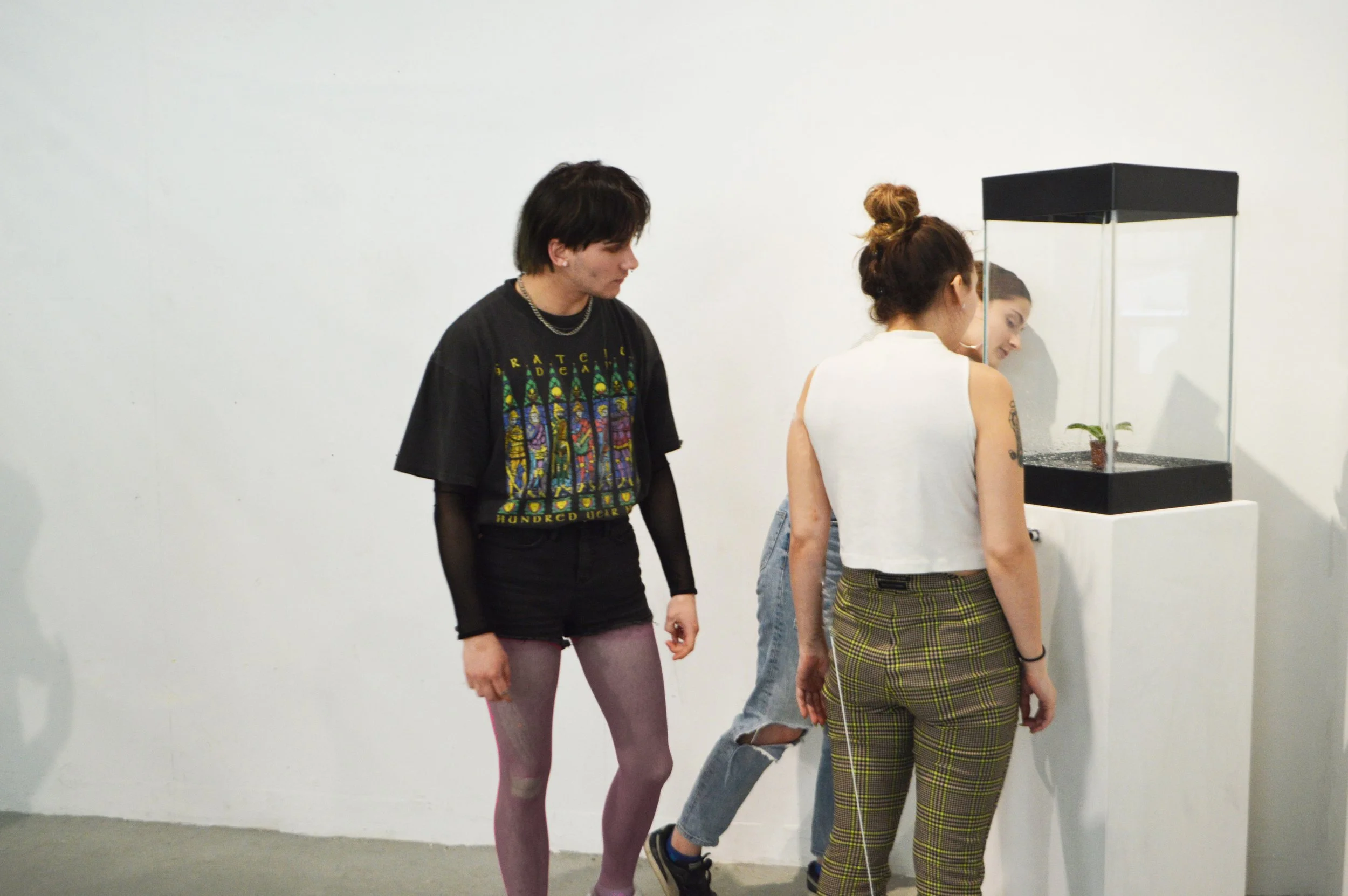 Feed, 2019 — Bowen Zhou