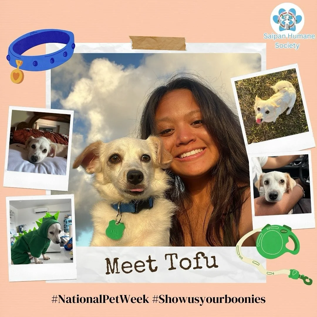 Saipan Humane Society