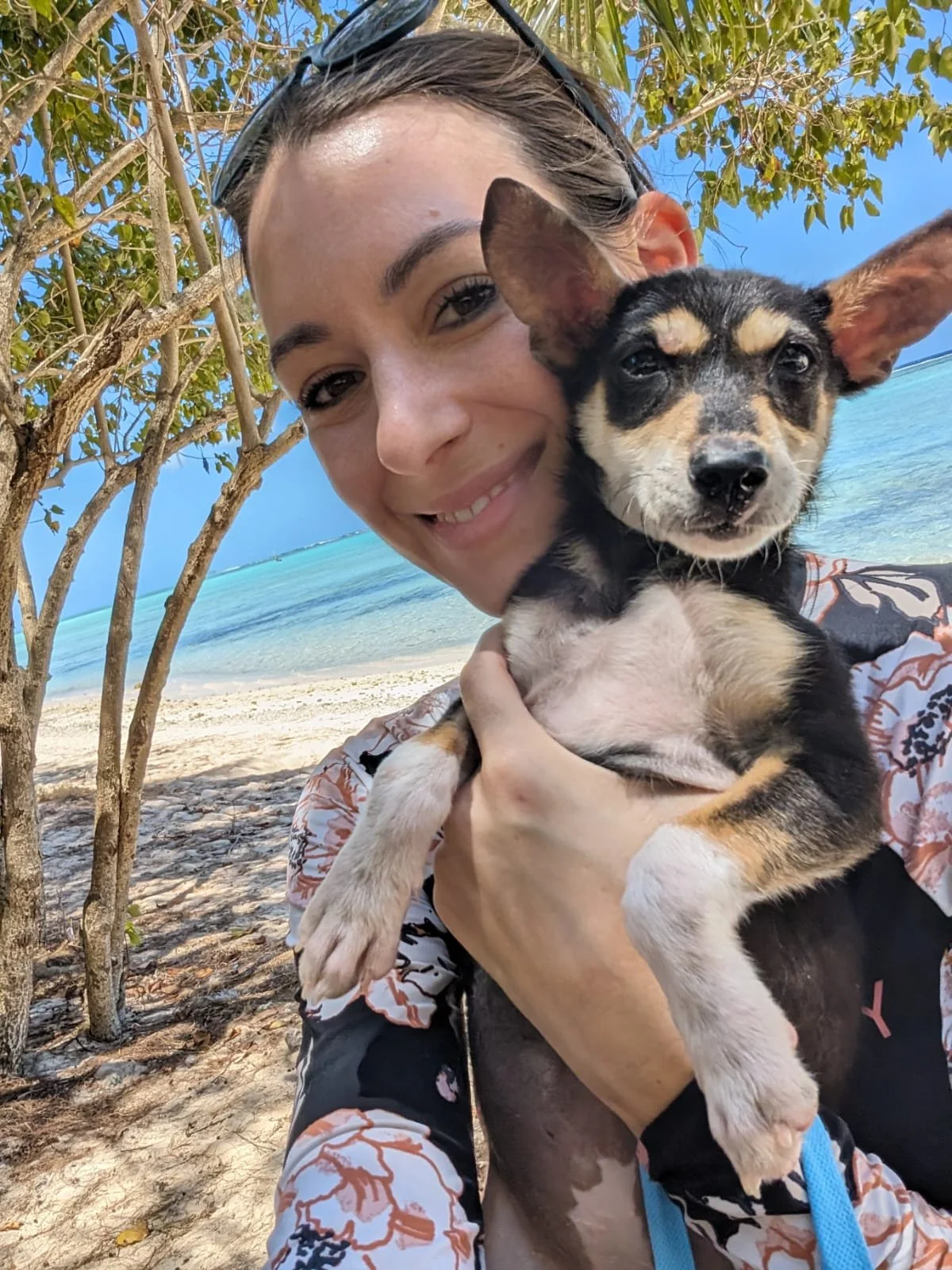 About — Saipan Humane Society