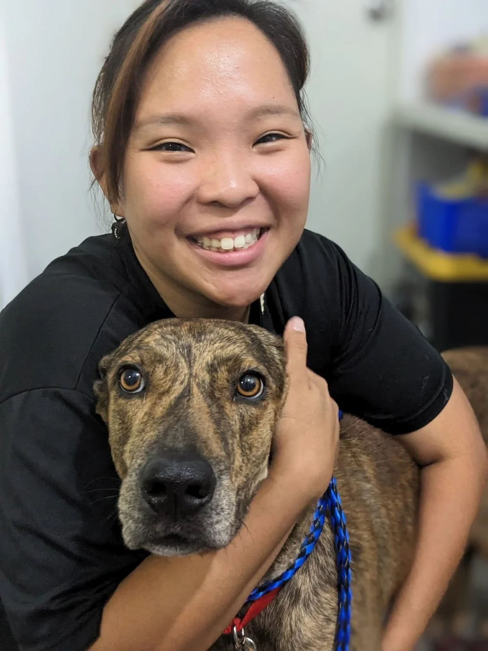Gallery 1 — Saipan Humane Society