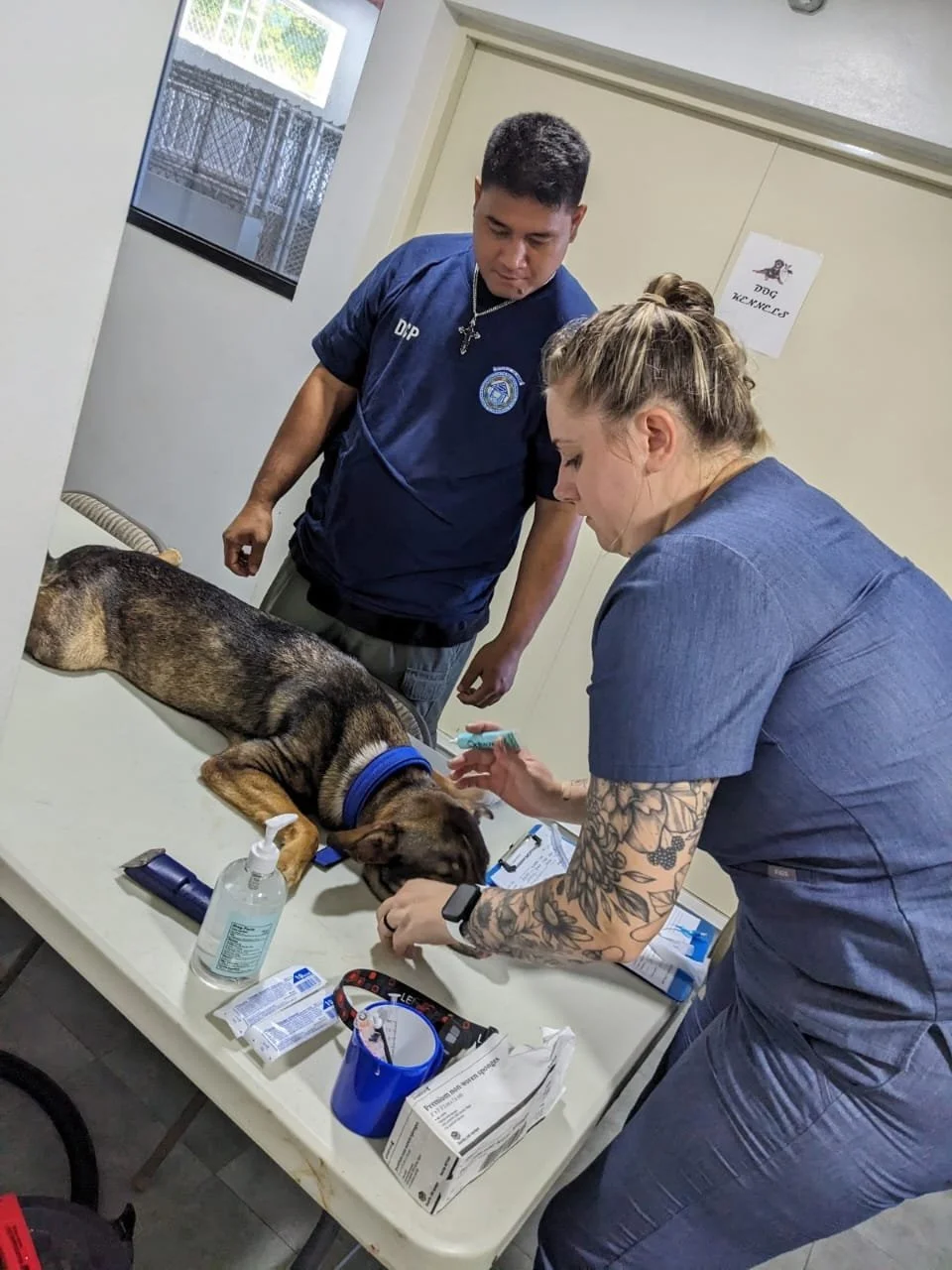 Gallery 1 — Saipan Humane Society
