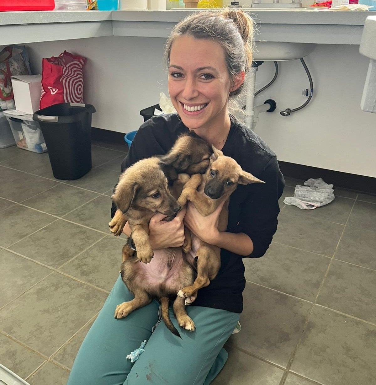 About — Saipan Humane Society