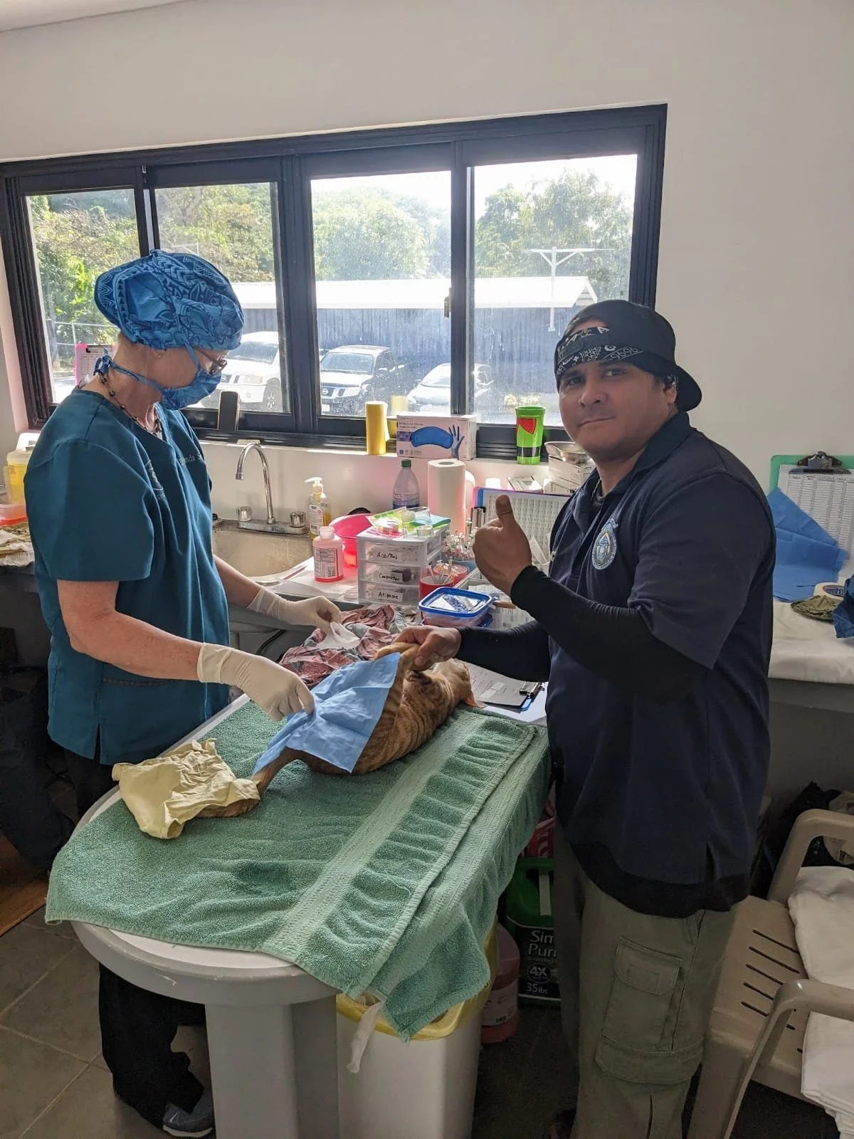 Gallery 1 — Saipan Humane Society