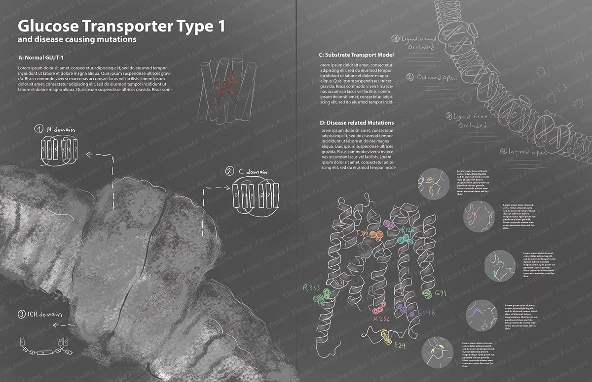 MolecularVisualization — Elmira Amini Visuals