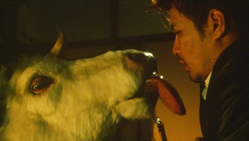 The Takashi Miike Experience - From Yakuza Carnage to Cult Horror ...