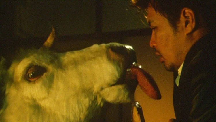 The Takashi Miike Experience - From Yakuza Carnage to Cult Horror ...