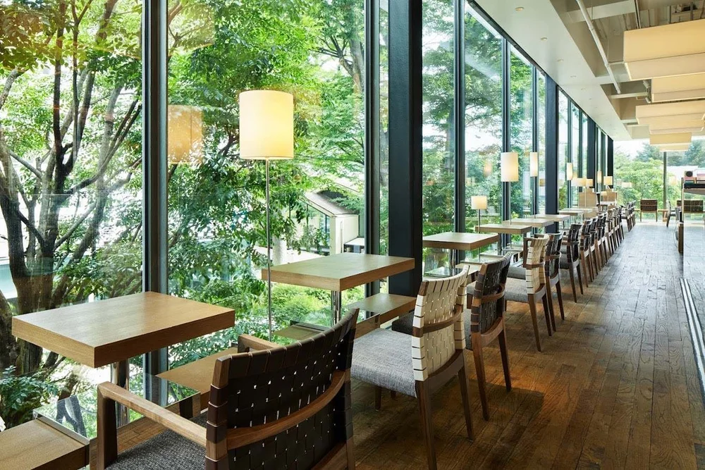 Daikanyama Guide - Tokyo's Trendy Haven │Yokogao Magazine