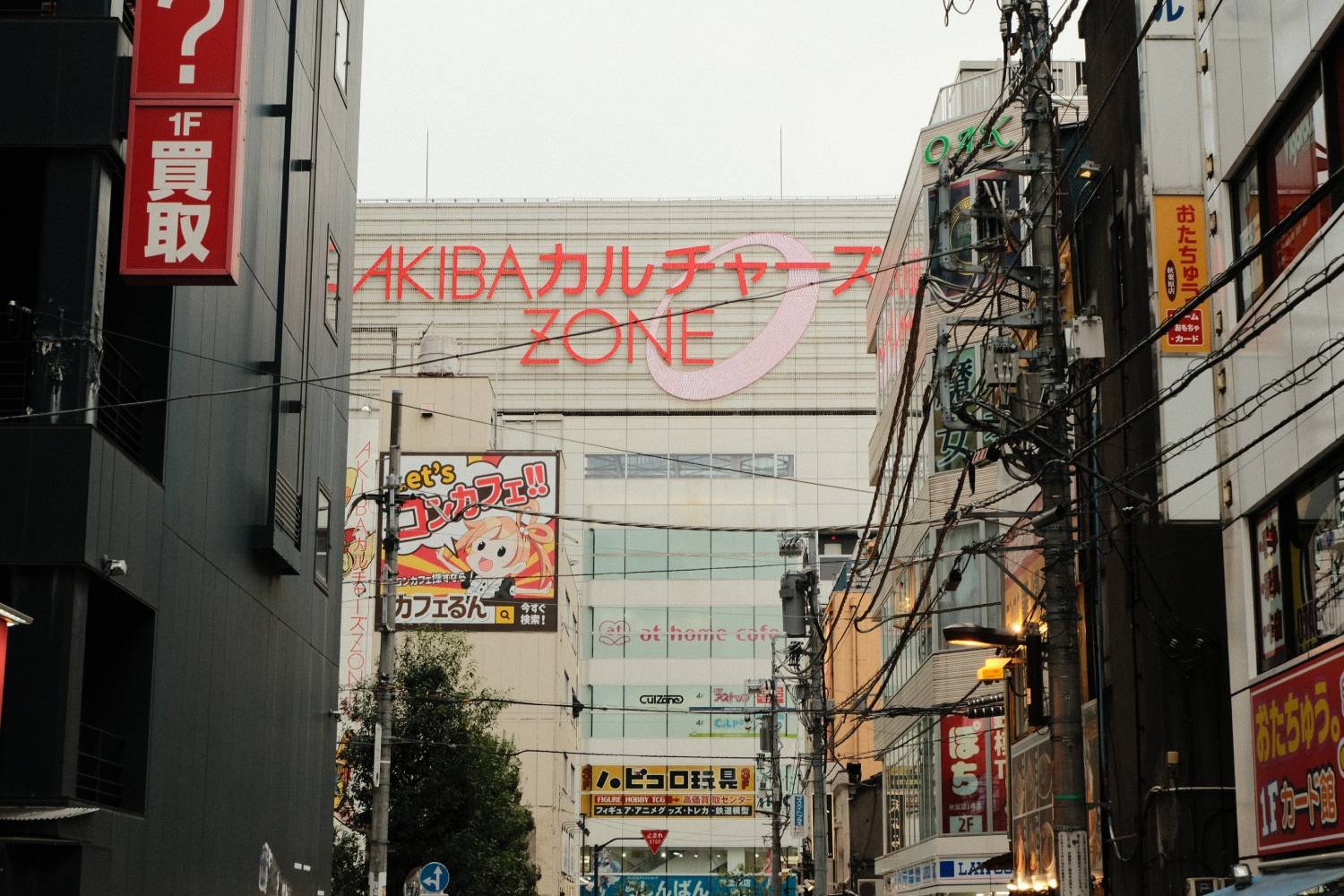 Akihabara Guide - Tokyo's Mecca of Otaku Culture │Yokogao Magazine