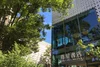 Daikanyama Guide - Tokyo's Trendy Haven │Yokogao Magazine
