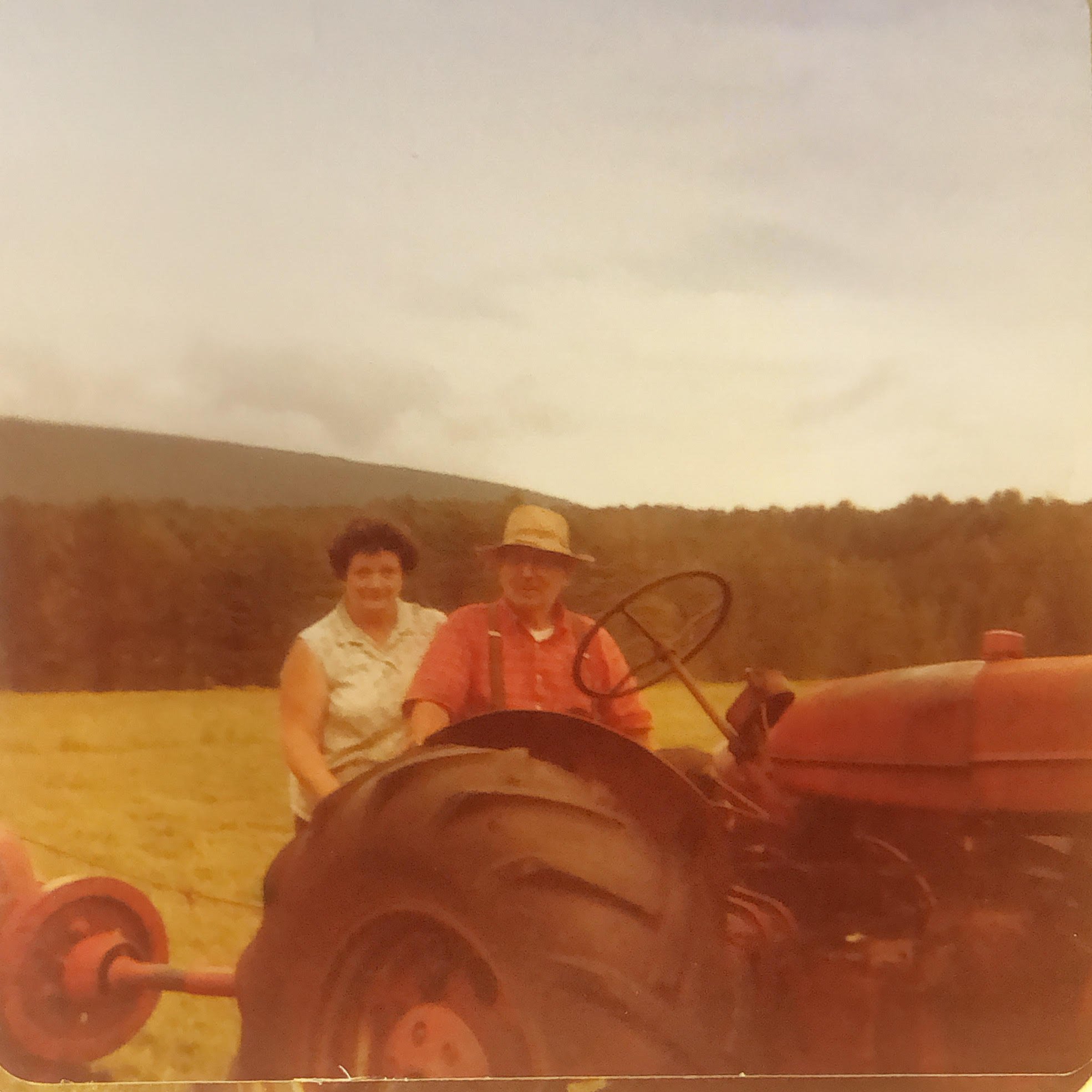 About — The Randall Cattle Registry