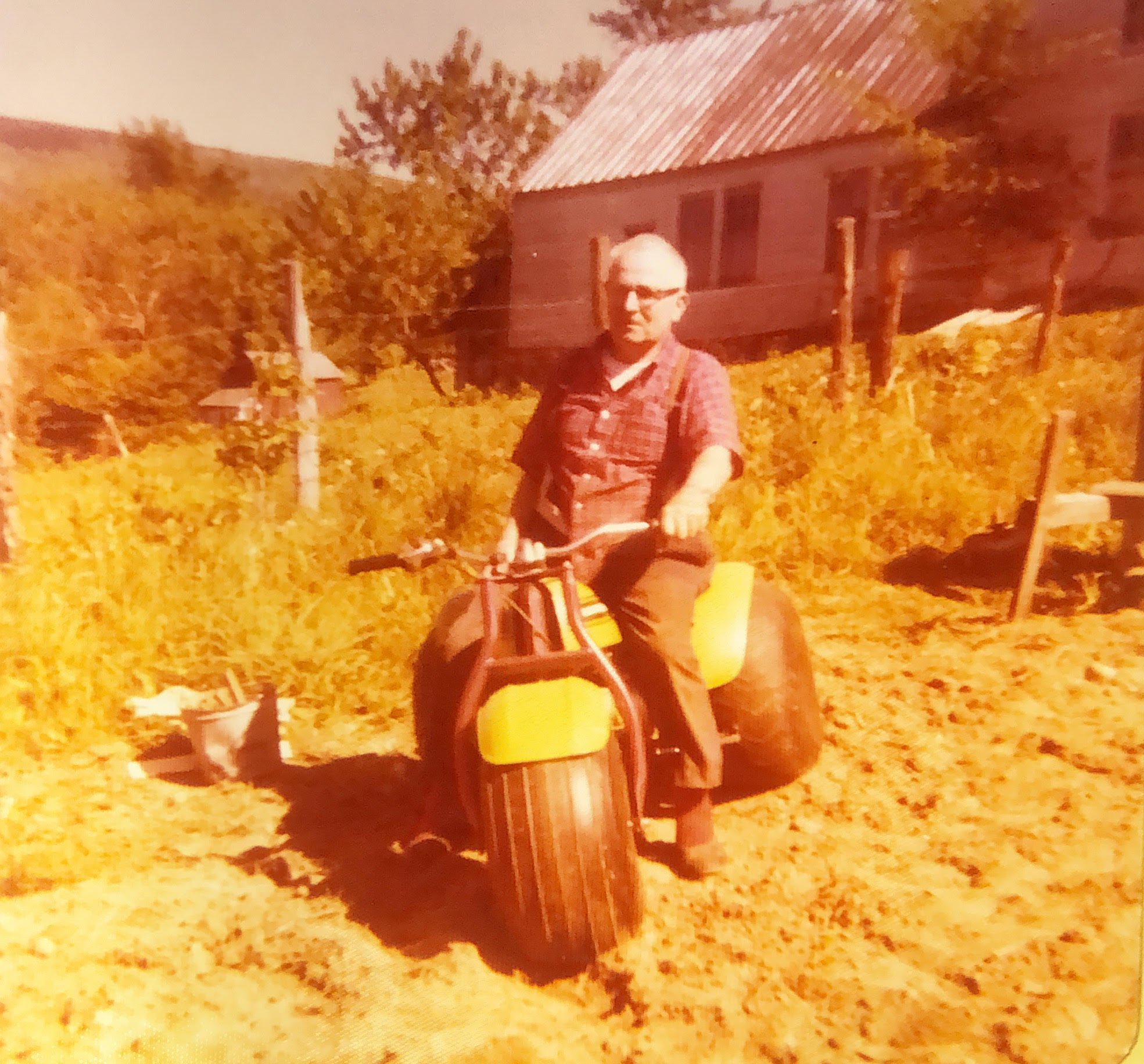 About — The Randall Cattle Registry