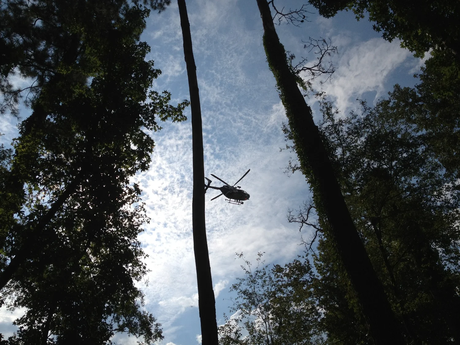 Investigations — Polk County Texas Sheriff's Office